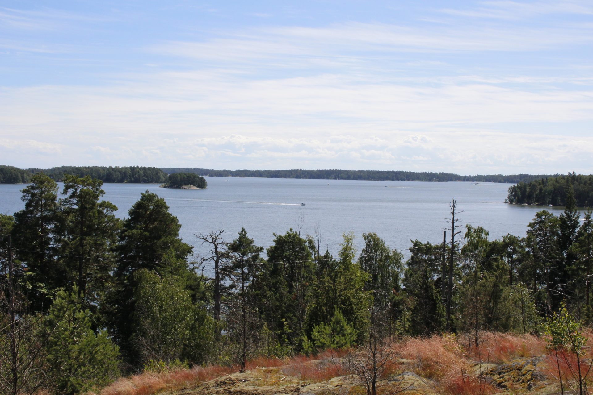 History of Vartiosaari - Youth Helsinki